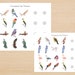 Birds Busy Book - Nature Study Activity - Learning Binder Tracing ...