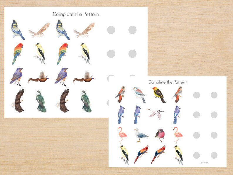 Birds Busy Book Nature Study Activity Learning Binder - Etsy