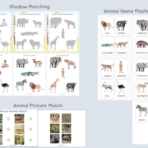 African Animal Busy Book Binder Learning MEGA Bundle - Worksheets ...