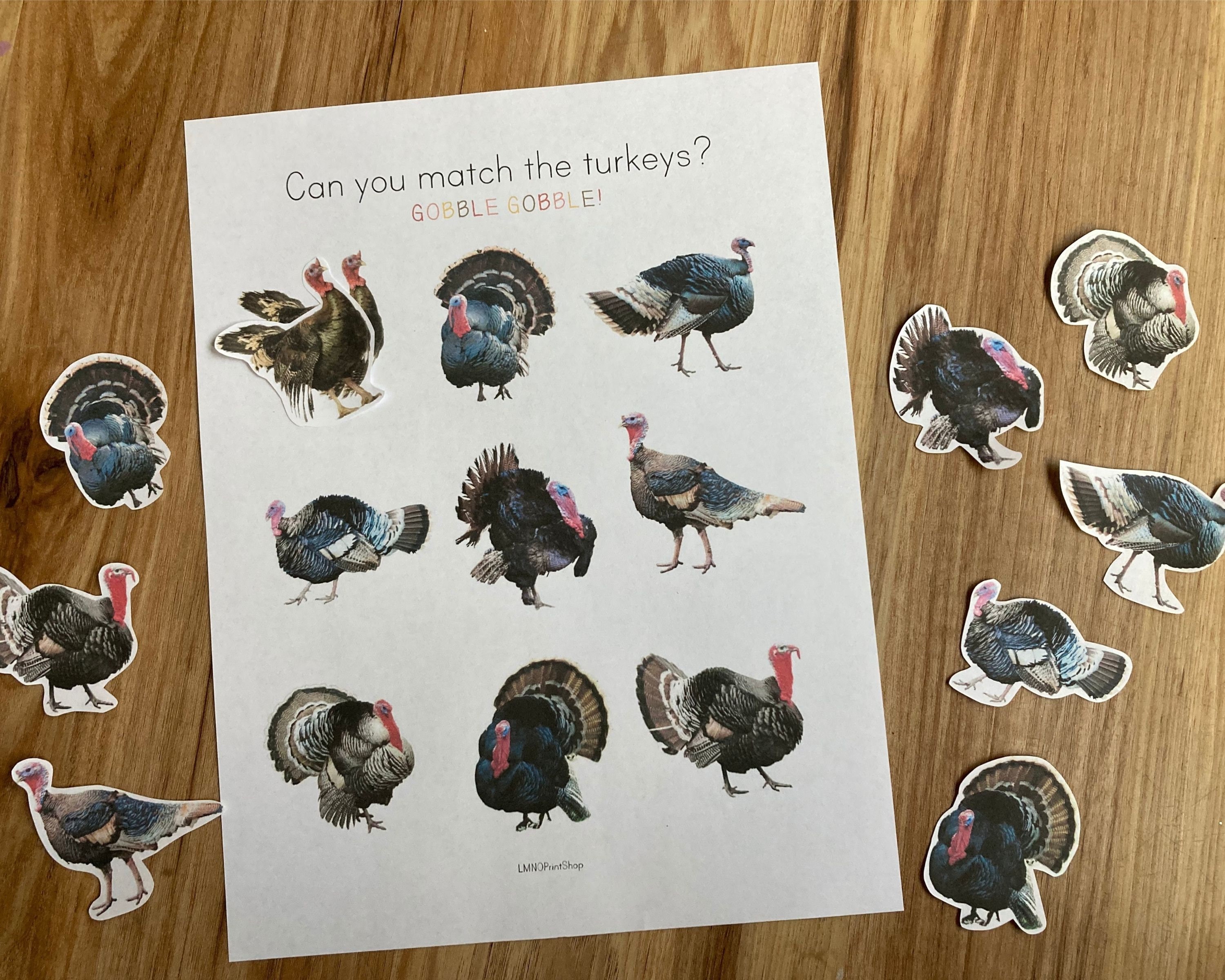 Turkey Thanksgiving Busy Book Page Matching Preschool Game - Etsy