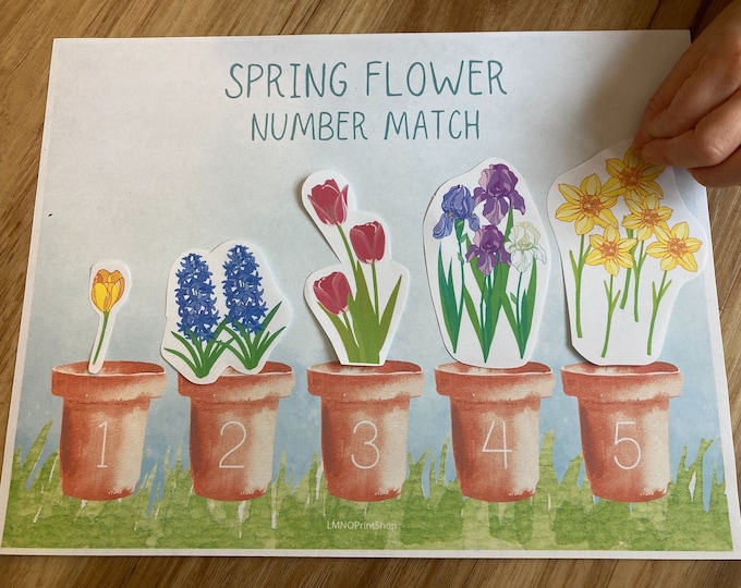 Happy Spring Color by Number Activity Page Classroom Activity Sheet ...