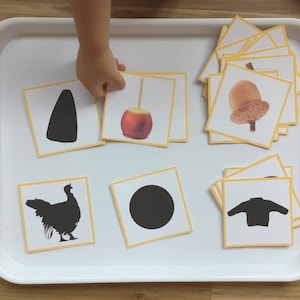 Fall Autumn Shadow Matching Cards - Montessori Printable Activity ...