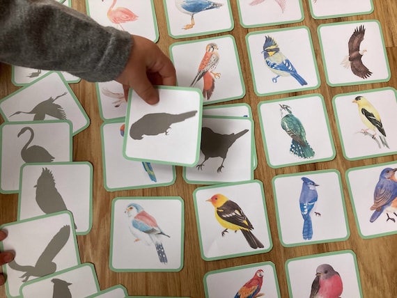 Bird Shadow Matching Cards Busy Bag Activity Preschool - Etsy