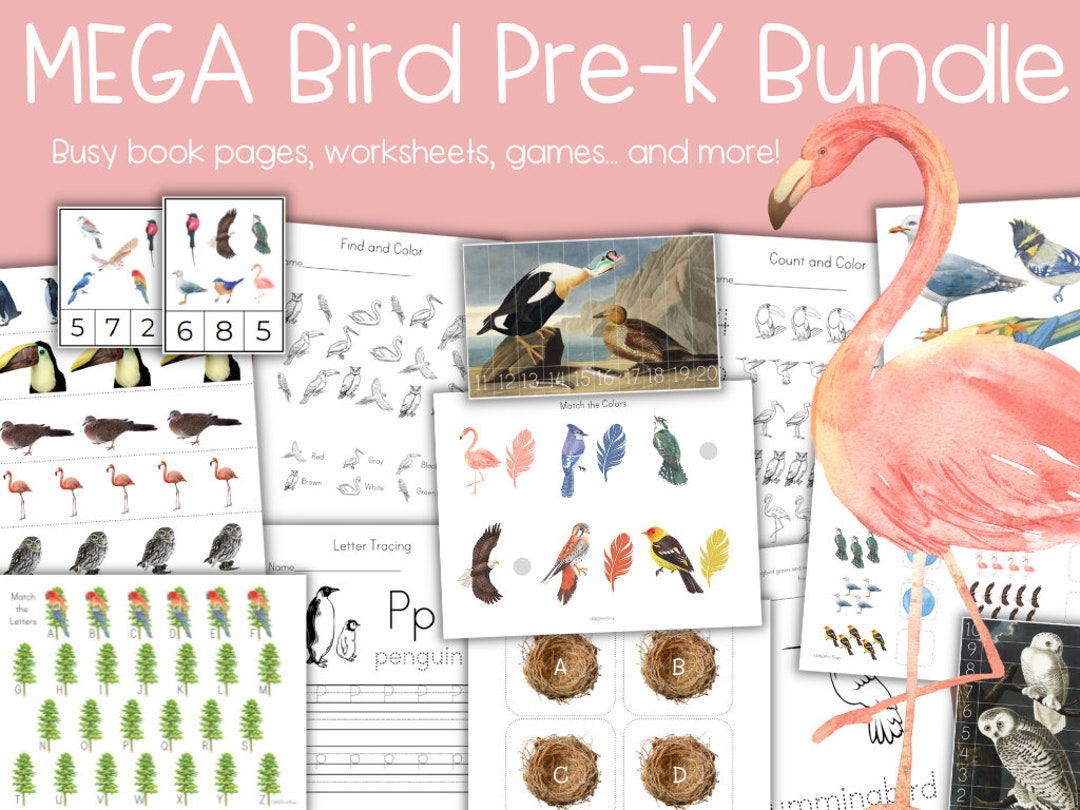 Birds Activity Bundle - Worksheets Busy Book Bag - Spring Nature Study ...