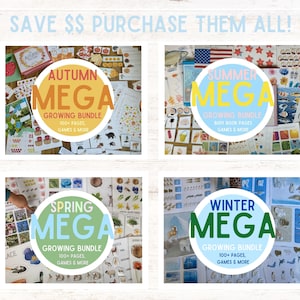 Summer Bundle - Busy Book Learning Binder - Preschool Kindergarten ...