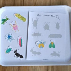 BUG Learning Bundle - Insect Math Counting - Preschool Printable - Busy ...