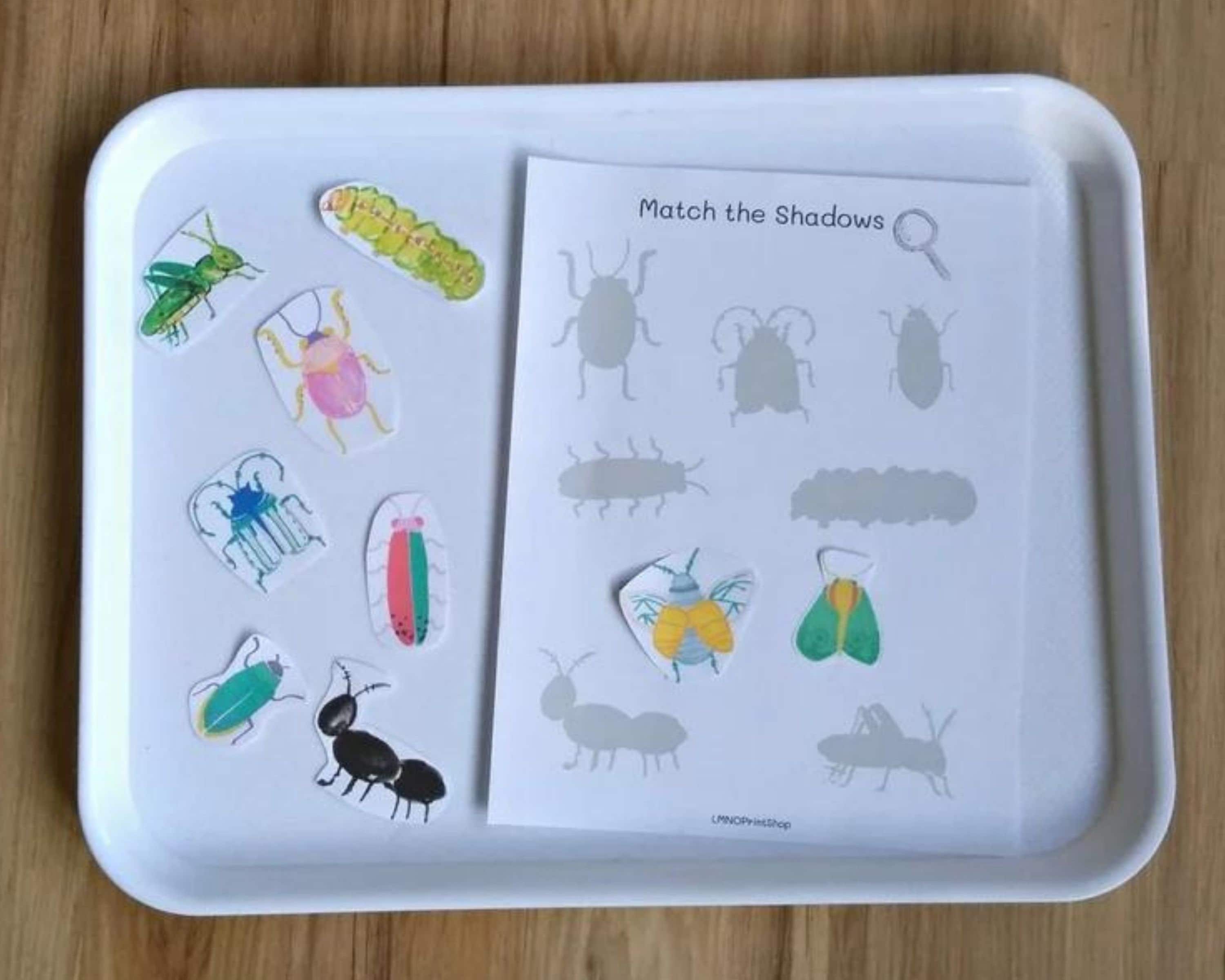 BUG Learning Bundle Insect Math Counting Preschool - Etsy