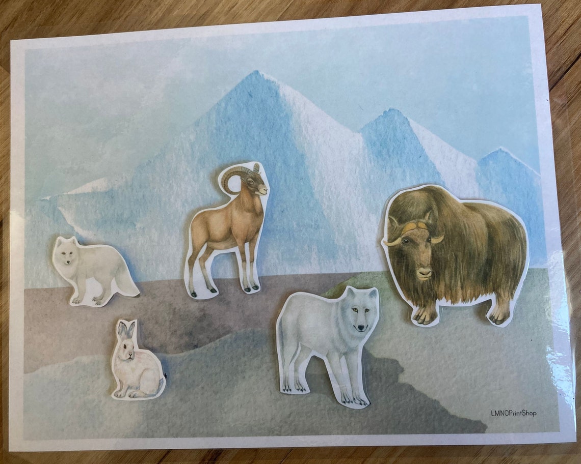 Arctic Animal Shadow Matching - Polar Printable Learning Binder ...