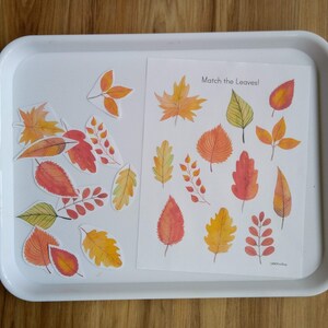 Fall Learning Binder - Preschool Printable Busy Book - Autumn ...