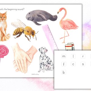 Busy Book Bundle - Toddler Preschool Printable - Letters Shapes Numbers ...