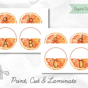 Alphabet Matching Cards - Orange Fruit - Letters Busy Bag Activity ...