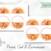 Alphabet Matching Cards - Orange Fruit - Letters Busy Bag Activity ...