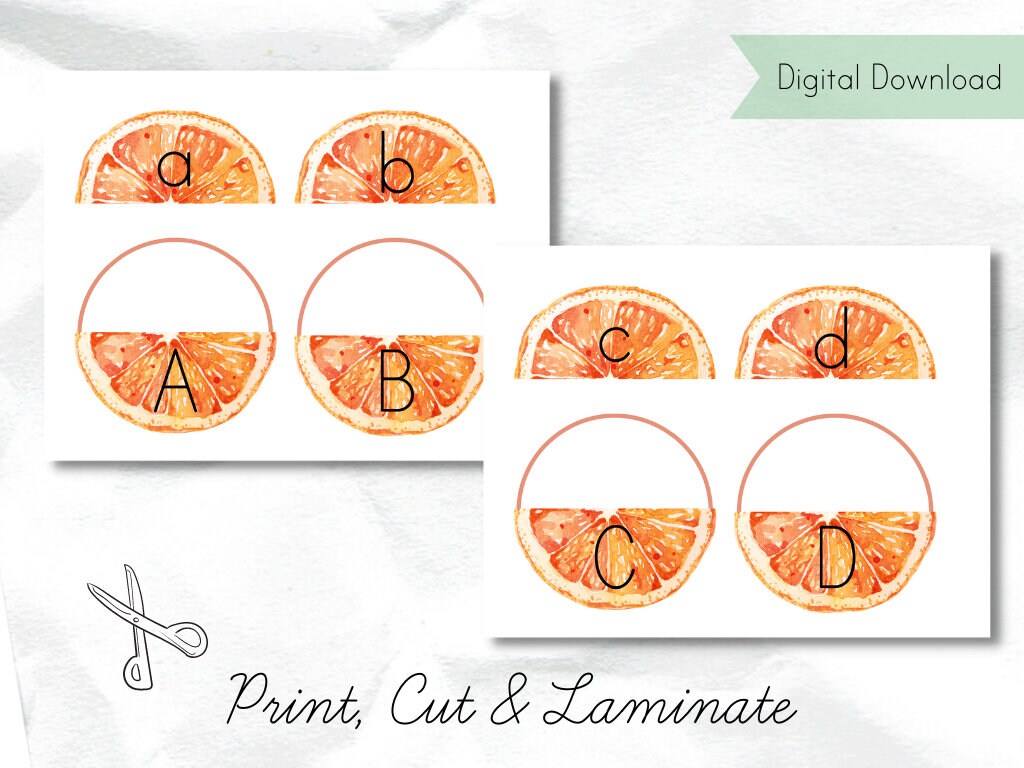 Alphabet Matching Cards Orange Fruit Letters Busy Bag | Etsy