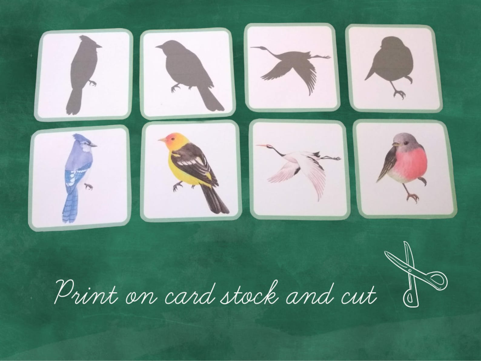 Bird Shadow Matching Cards Busy Bag Activity Preschool - Etsy