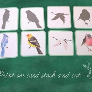Bird Shadow Matching Cards - Busy Bag Activity - Preschool Toddler ...