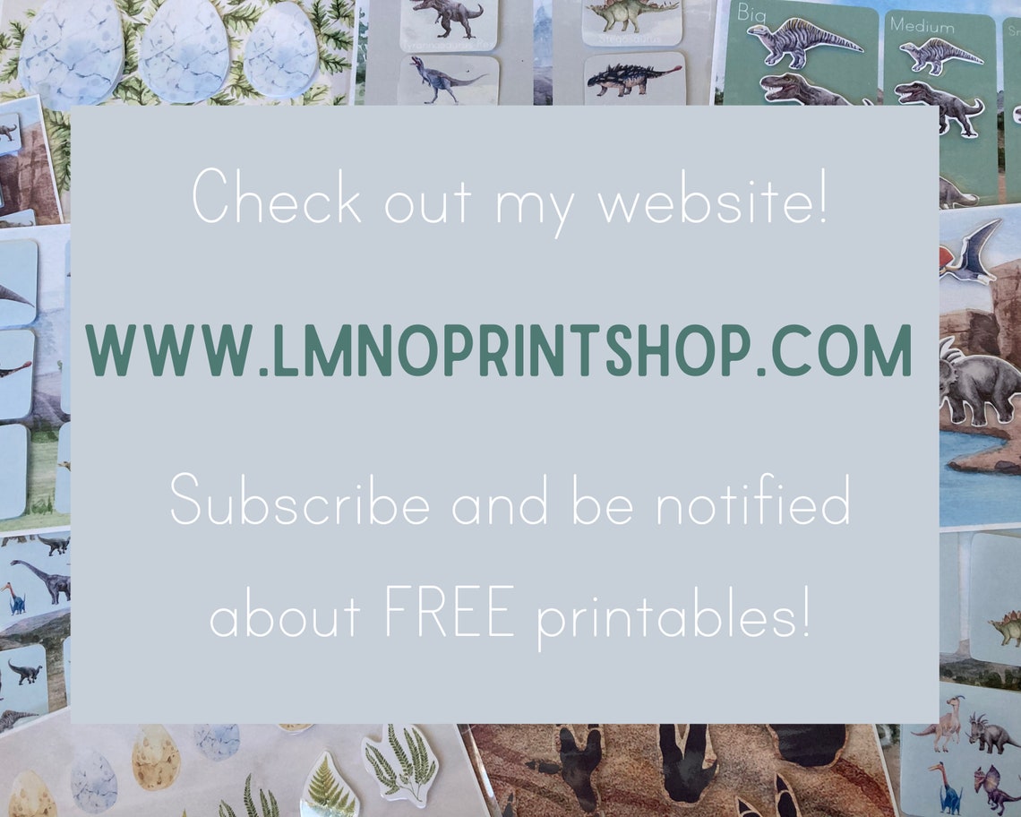 Dinosaur Busy Book Shadow Matching Preschool Printable - Etsy