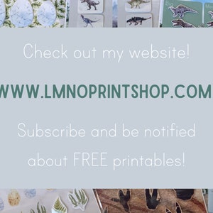 Dinosaur Busy Book - Shadow Matching - Preschool Printable - Toddler ...