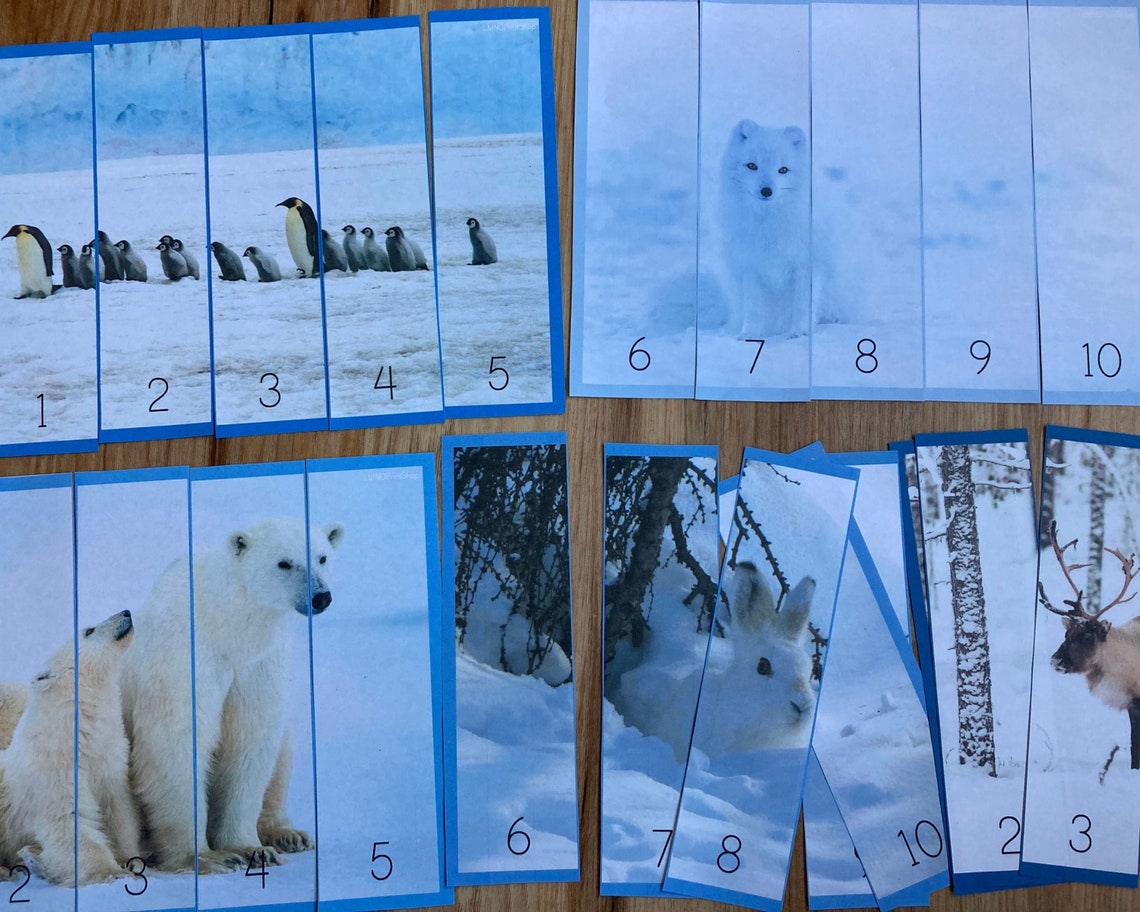 Arctic Animal Counting Puzzles - 1-10 Number Order Printable - Cold ...