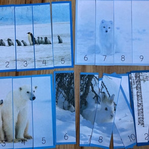Arctic Animal Counting Puzzles - 1-10 Number Order Printable - Cold ...