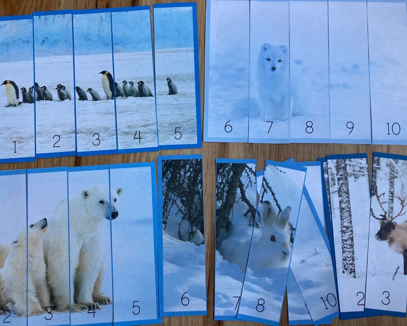 Arctic Animal Counting Puzzles 1-10 Number Order Printable - Etsy
