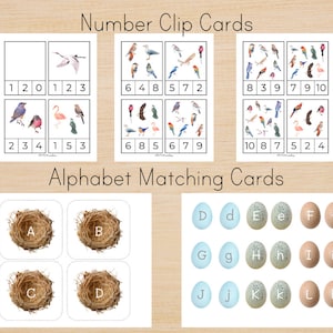 Birds Activity Bundle - Worksheets Busy Book Bag - Spring Nature Study ...