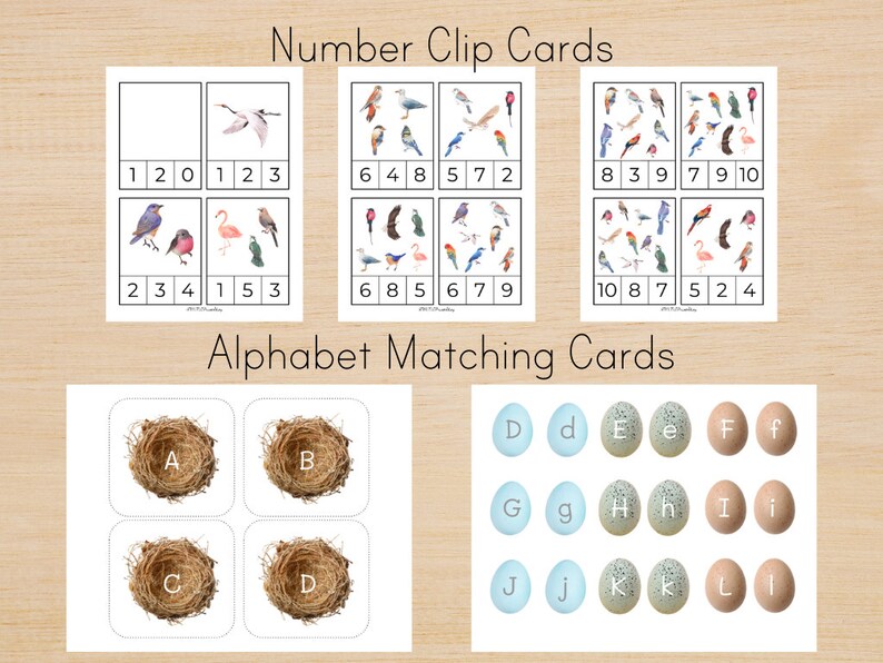 Birds Activity Bundle Worksheets Busy Book Bag Spring - Etsy