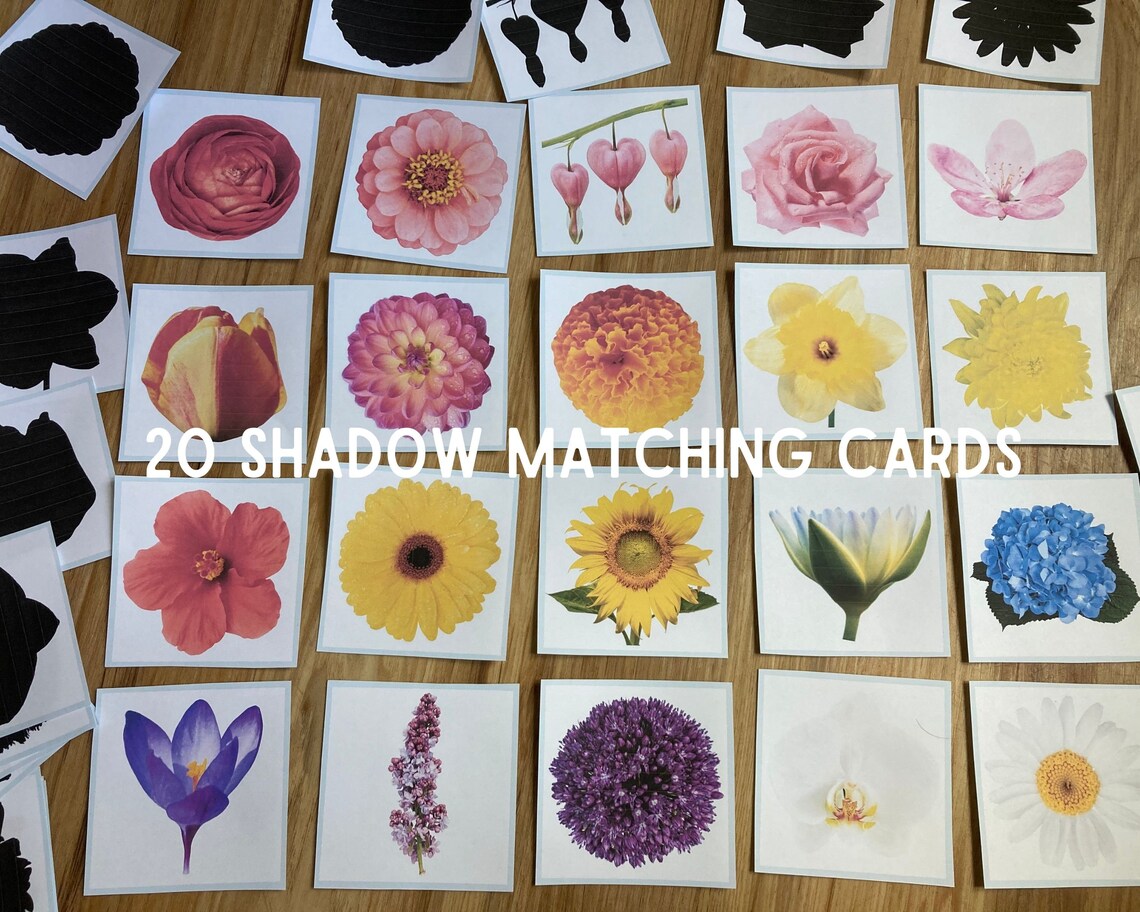 Flower Shadow Matching AND Symmetry Cards Set Montessori | Etsy