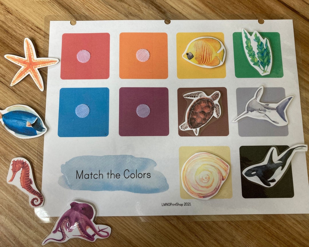 Ocean Color Matching - Summer Busy Book - Sea Fish Nature Study ...