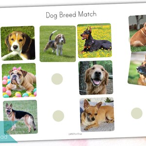 Dog Breed Matching Activity - Busy Bag - Toddler Preschool Kindergarten ...