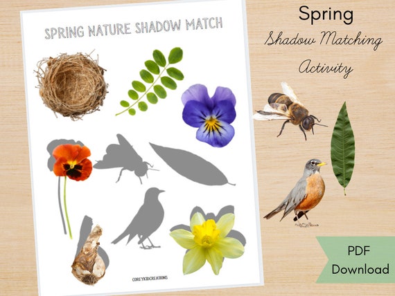 Spring Nature Shadow Matching Sorting Match Toddler | Etsy