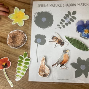 Spring Nature Shadow Matching - Sorting Match - Toddler Preschool ...