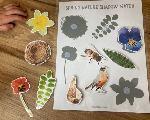 Spring Nature Shadow Matching Sorting Match Toddler | Etsy
