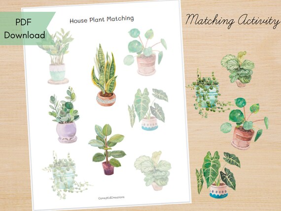 Plant Leaves Nature Busy Book Learning Binder Matching | Etsy