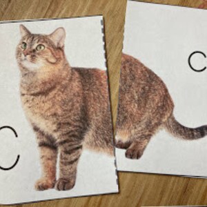 Animal Alphabet Matching Busy Bag Cards - Montessori Toddler Preschool ...