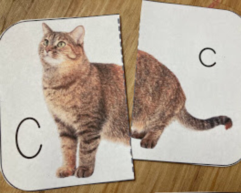 Animal Alphabet Matching Busy Bag Cards Montessori Toddler - Etsy