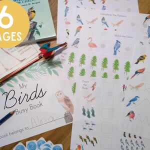 Birds Busy Book - Nature Study Activity - Learning Binder Tracing ...
