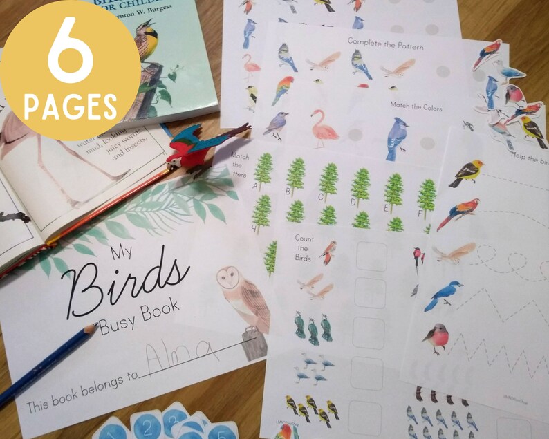 Birds Busy Book - Nature Study Activity - Learning Binder Tracing ...