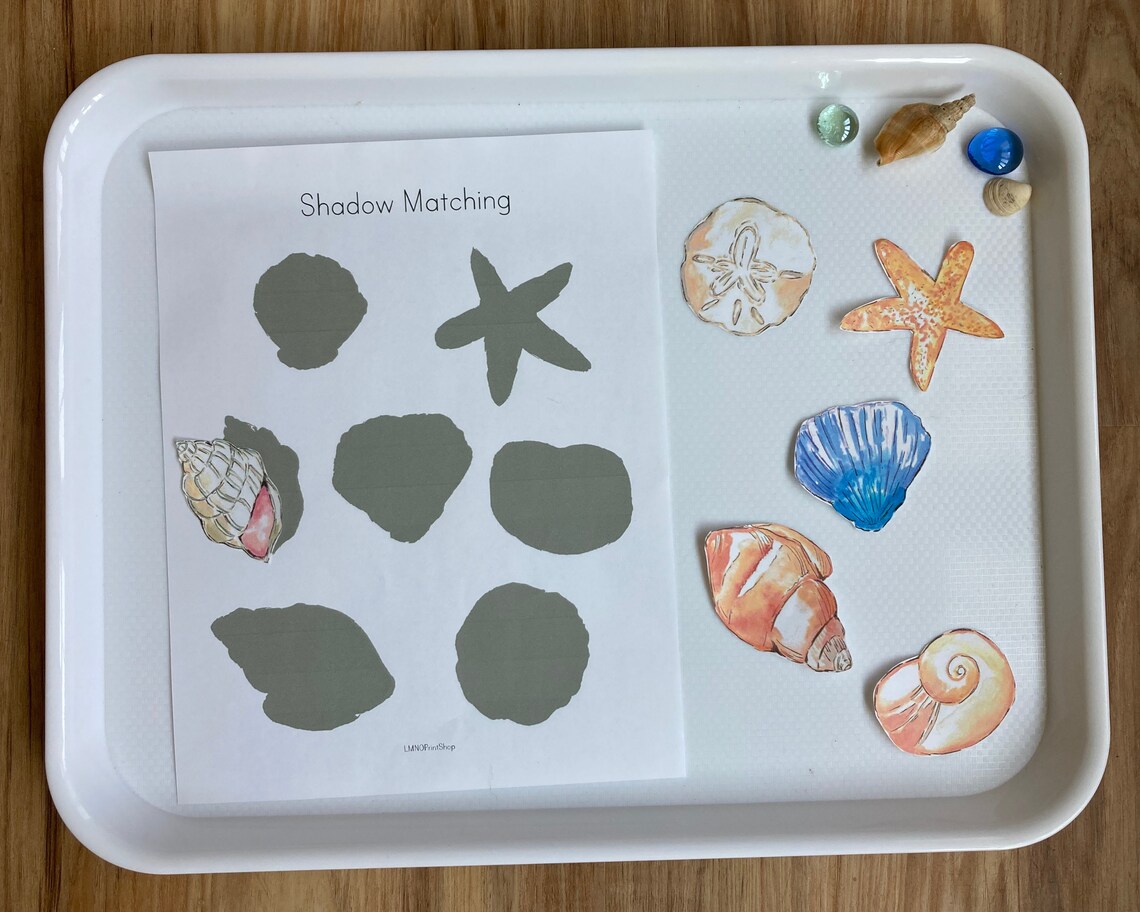 Seashell Shadow Matching Busy Binder Book Activity Page Summer Beach ...