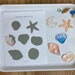 Seashell Shadow Matching - Busy Binder Book Activity Page - Summer ...