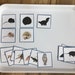 Nocturnal Animals - Preschool Printable Bundle - Early Reader - Shadow ...