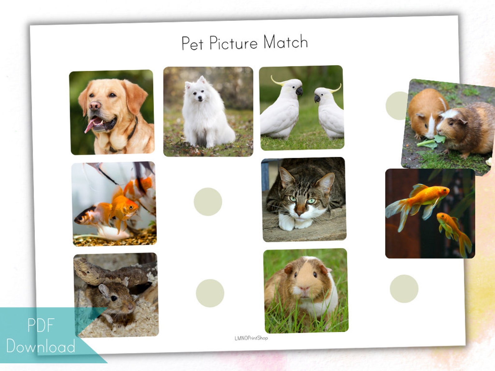 Pets Animal Matching Busy Book Binder Activity Montessori - Etsy