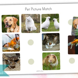 Pets Animal Matching Busy Book Binder Activity - Montessori Toddler ...