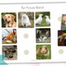 Pets Animal Matching Busy Book Binder Activity Montessori Toddler ...