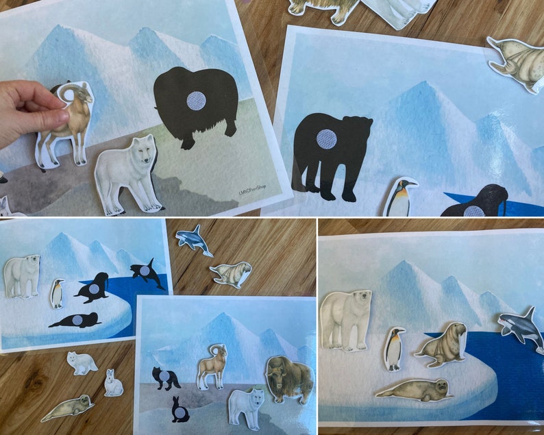 Arctic Polar Animals Printable Busy Book Winter Learning - Etsy