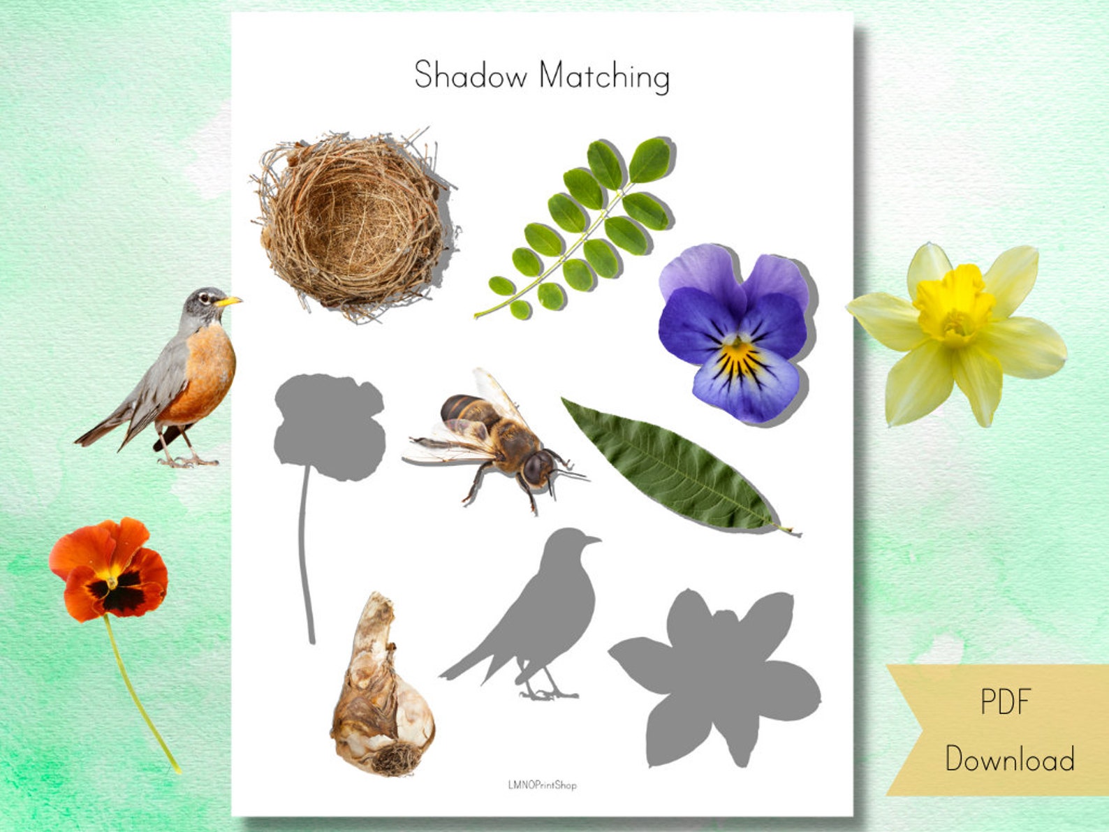 Spring Nature Shadow Matching Sorting Match Toddler | Etsy