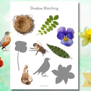 Spring Nature Shadow Matching Sorting Match Toddler | Etsy