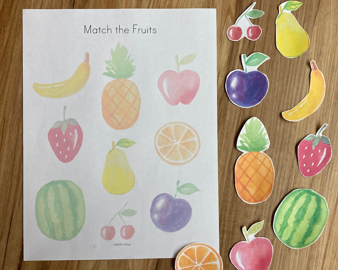 Fruit Food Matching Sorting - Busy Book Bag Learning Binder Activity ...