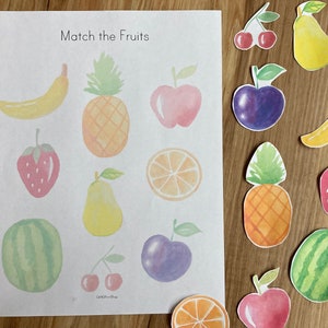 Fruit Food Matching Sorting - Busy Book Bag Learning Binder Activity ...