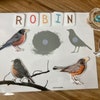 Bird Shadow Matching Cards Busy Bag Activity Preschool Toddler ...
