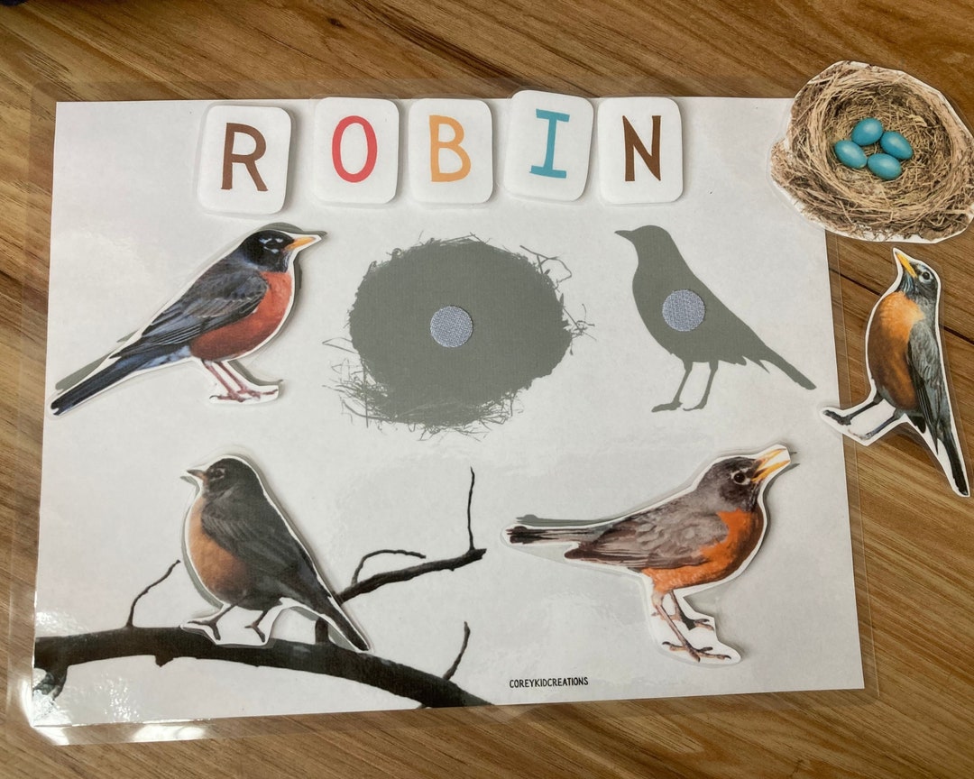Spring Robin Shadow Matching - Busy Book Binder Activity - Toddler ...